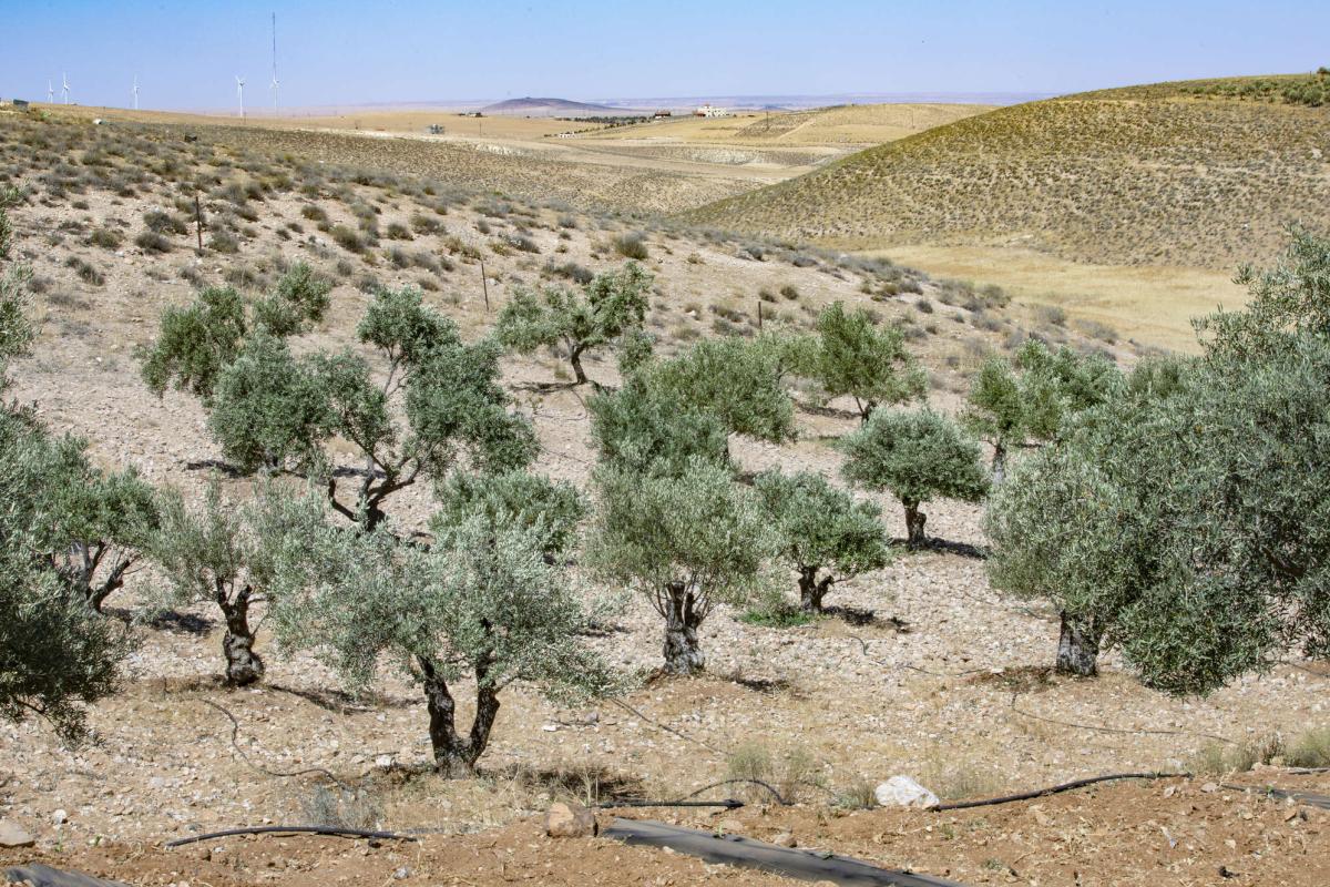 Restoring a lifeline: How Mercy Corps is helping Jordan with its water ...