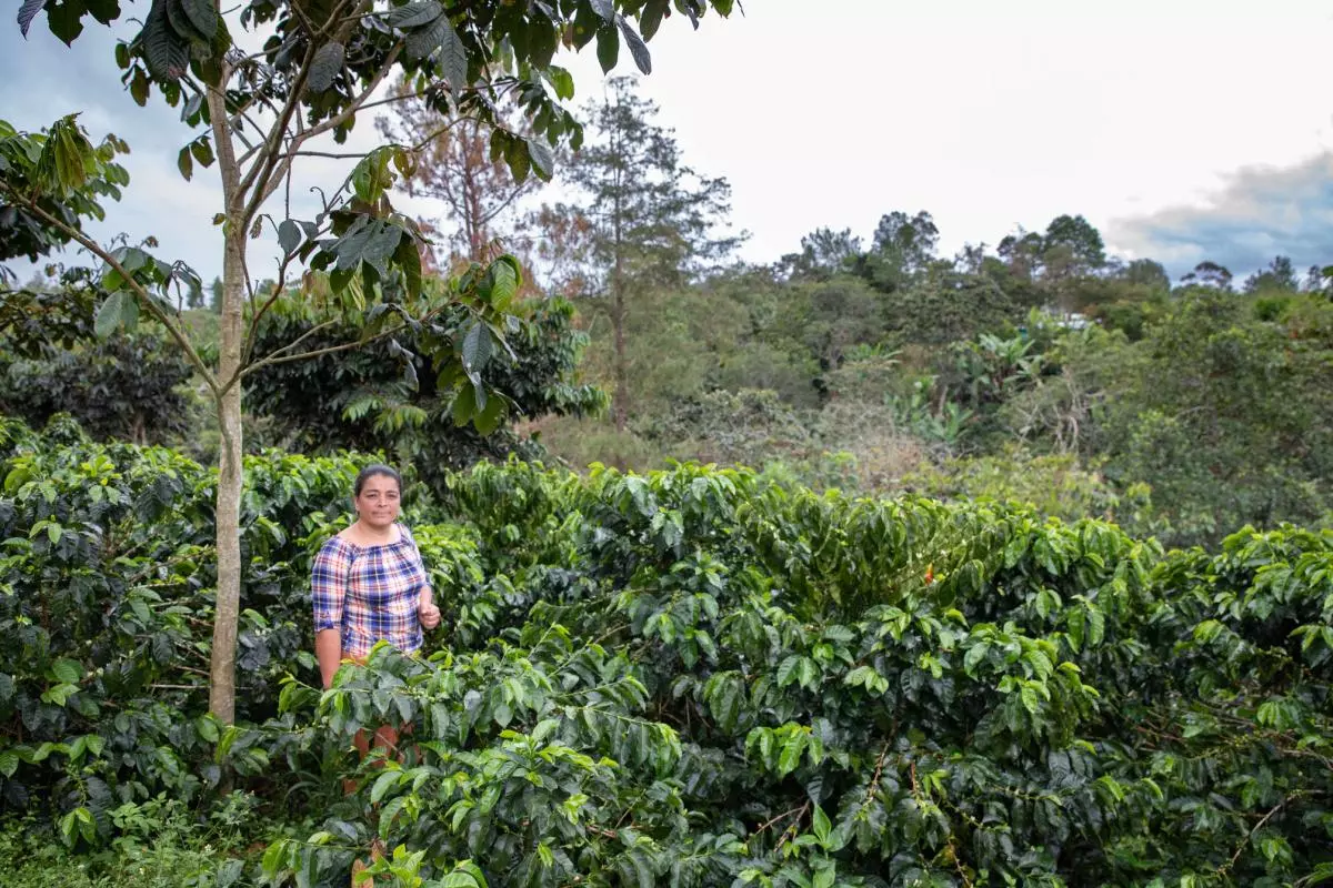 Growing peace, one coffee farm at a time | Mercy Corps