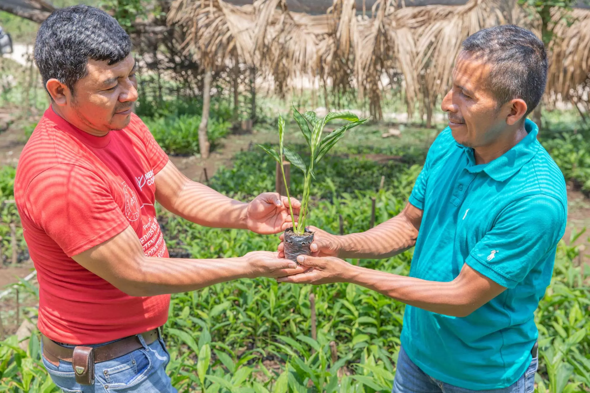 Strength and connection: Helping communities flourish in 2024 | Mercy Corps
